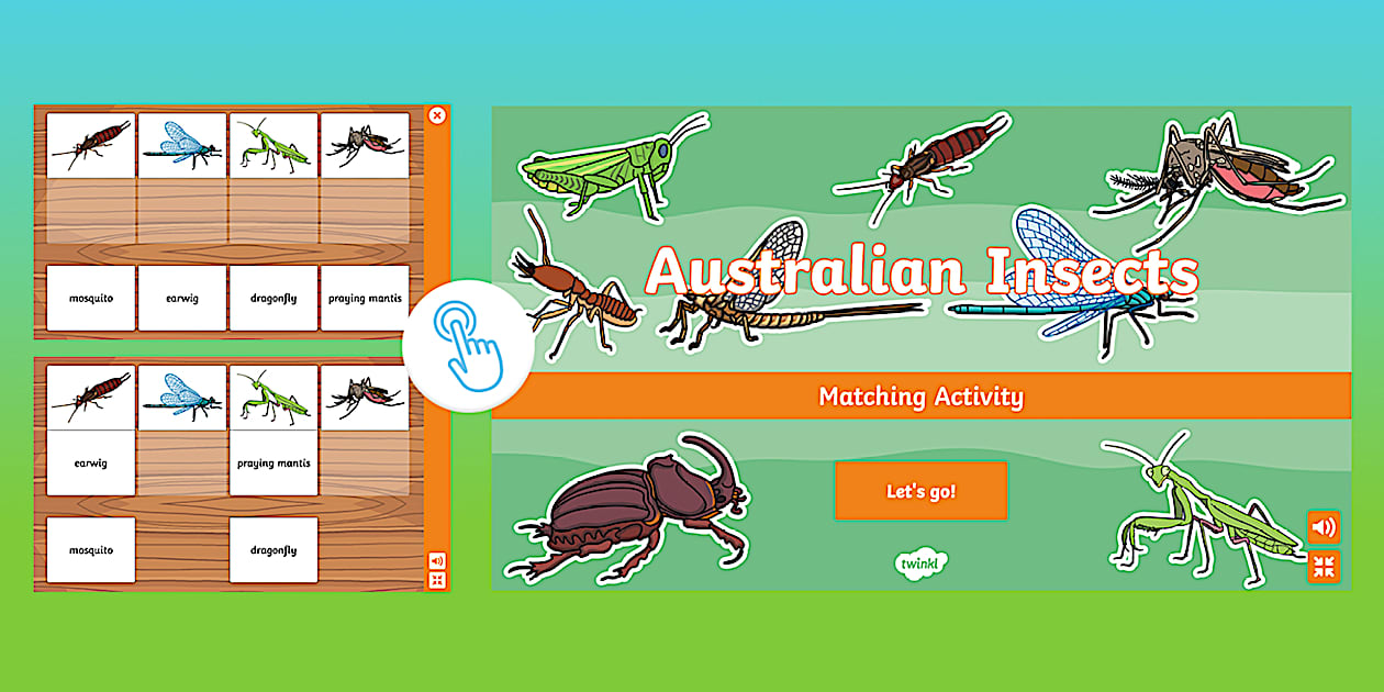 Australian Insects Interactive Matching Game (teacher made)