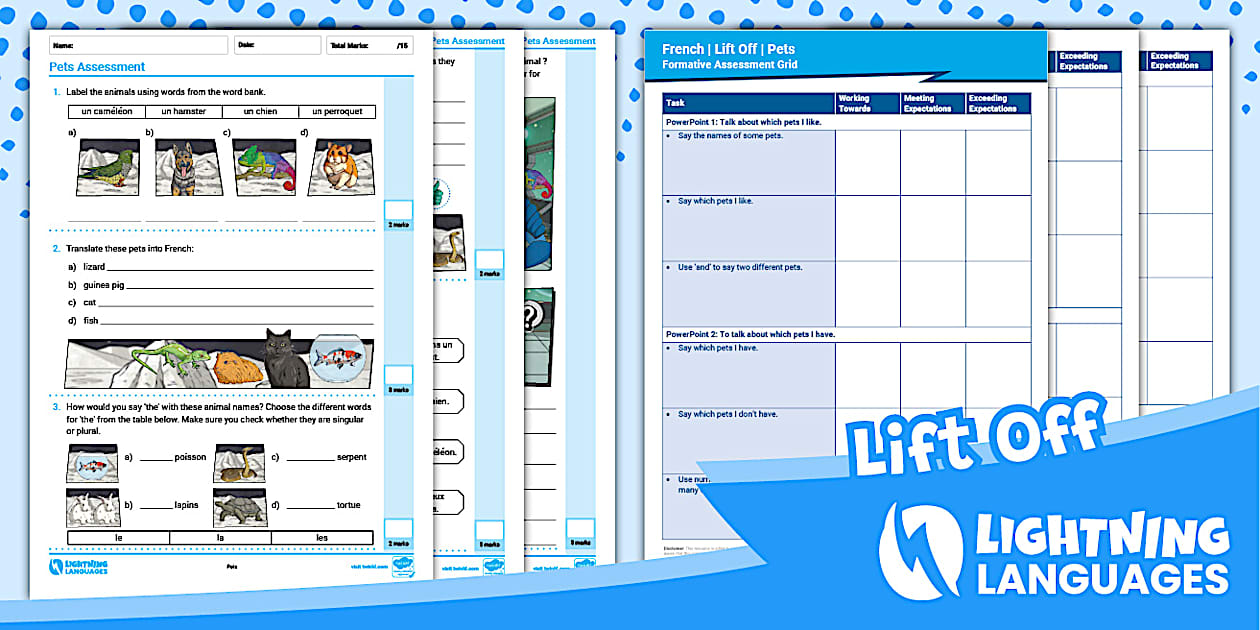 👉 French Pets Assessment Test Pack - Twinkl