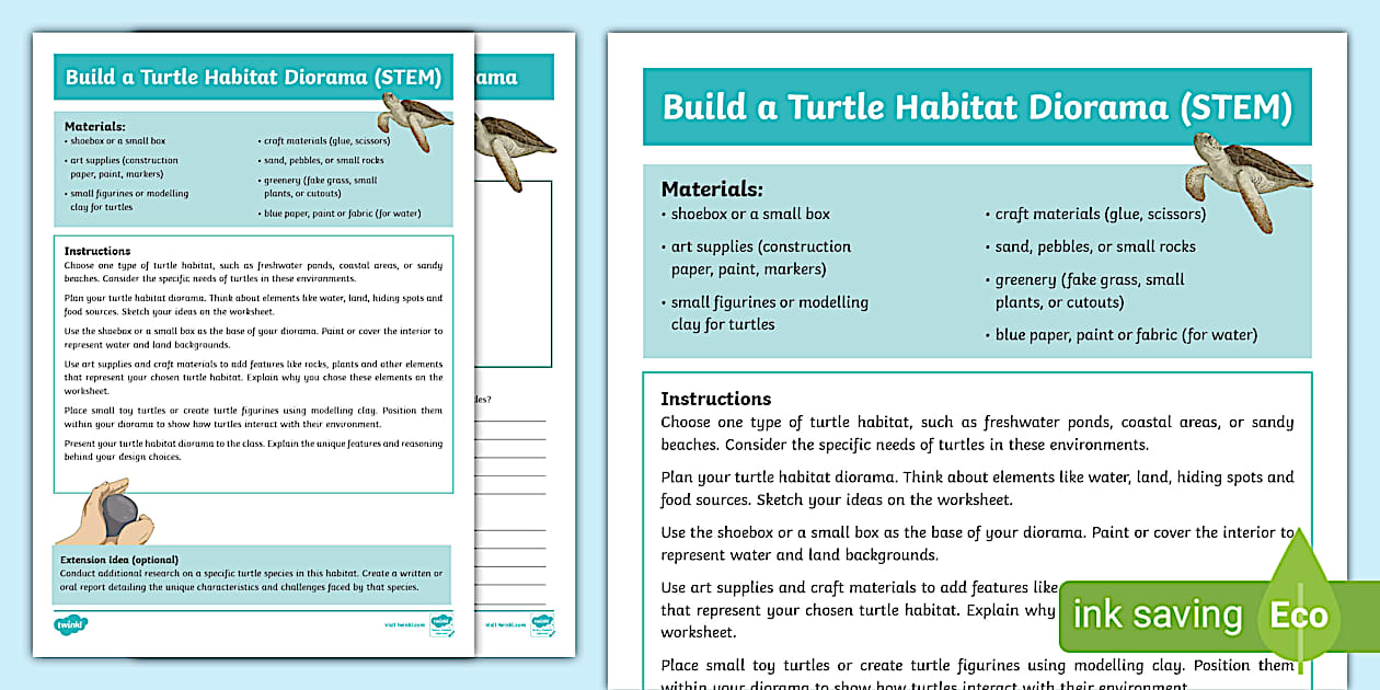 World Turtle Day: Turtle Habitat Diorama (STEM) - Twinkl