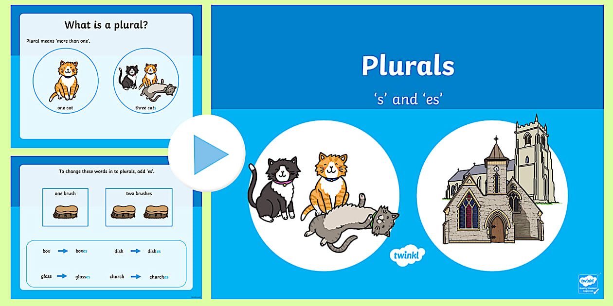 Plurals s and es Teaching PowerPoint (Teacher-Made) - Twinkl