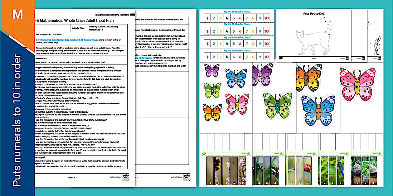 EYFS Butterfly Number Line Ordering Adult Input Plan