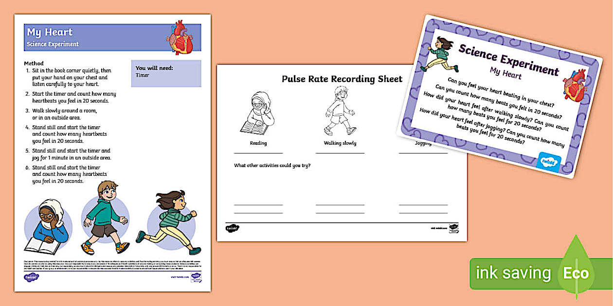 Heart Experiment for Kids (teacher made) - Twinkl