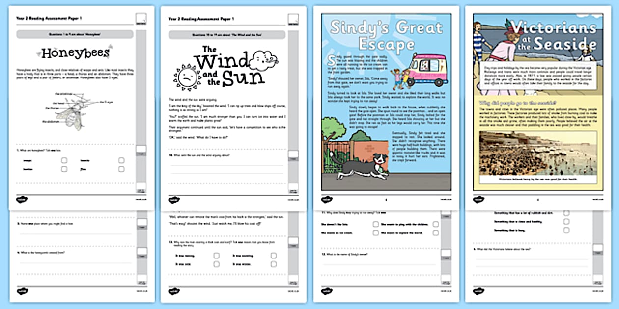 Year 2 Reading Assessment Term 2 (teacher made) - Twinkl