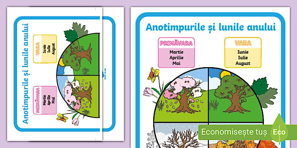 Anotimpurile și lunile anului – Planșă - Twinkl