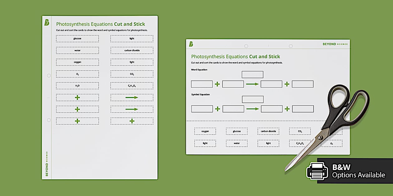 Photosynthesis Equation KS3 Cut and Stick | Beyond - Twinkl
