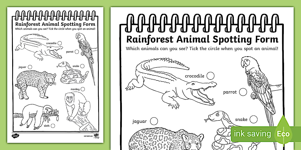 Tropical Rainforest Animals Role-Play Form | Twinkl - Twinkl