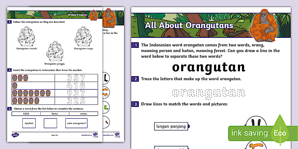 Indonesian Animals: All About Orangutans Lower Primary