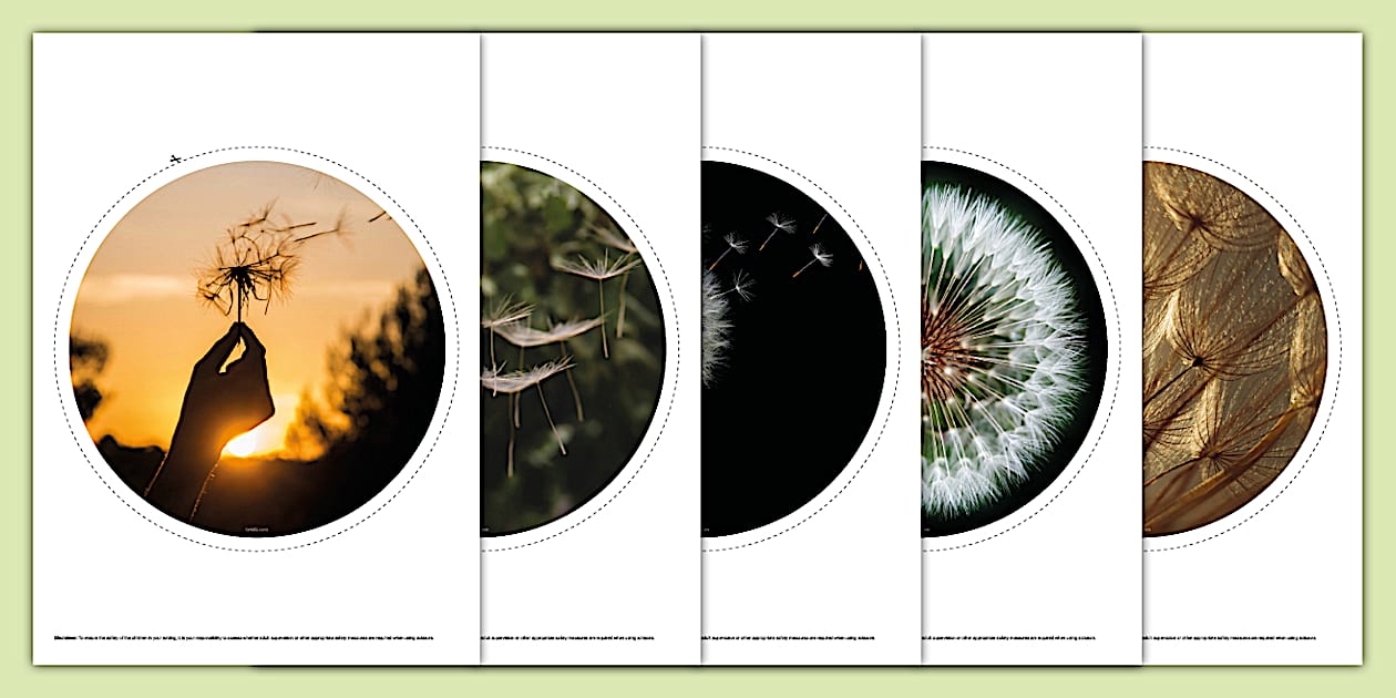 Dandelions Circle Display Photo Cut-Outs (teacher made)