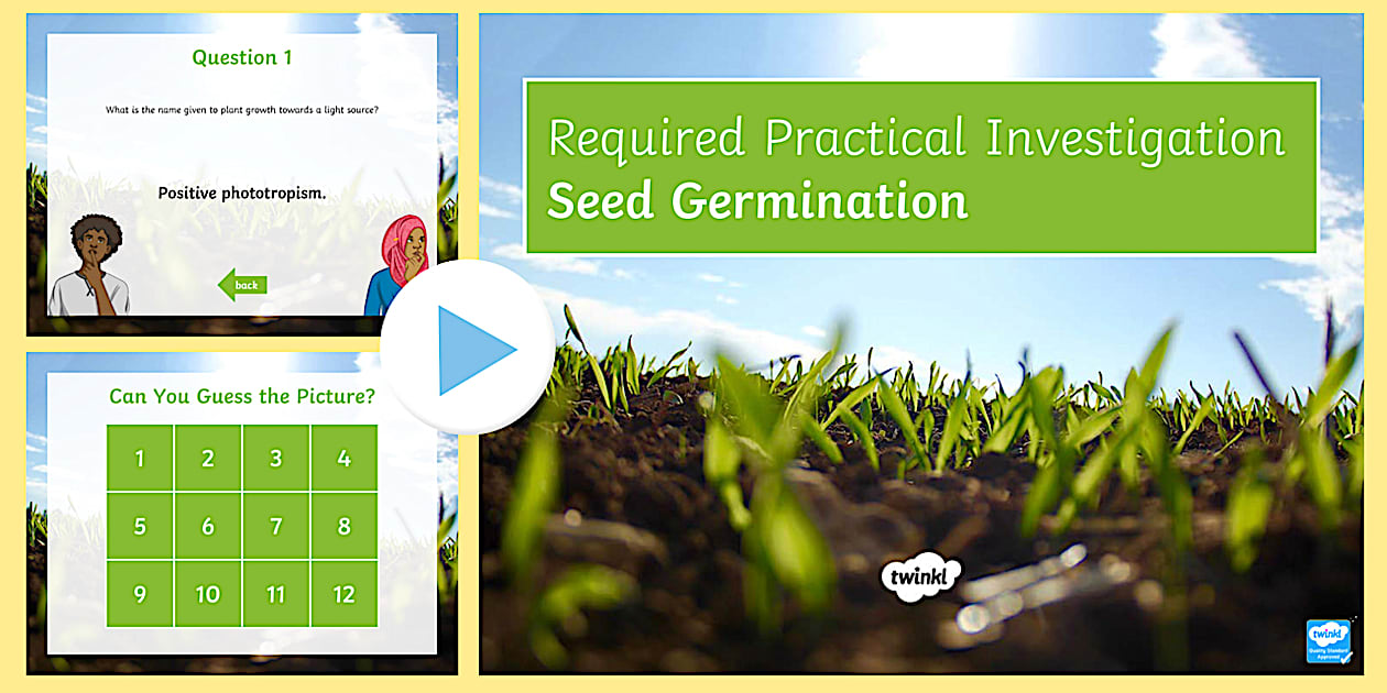 Required Practical Investigation Germinating Seeds Quiz PowerPoint
