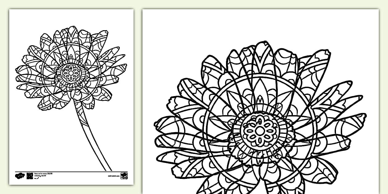 Daisy Mandala Colouring Page - Twinkl - KS1 (Teacher-Made)