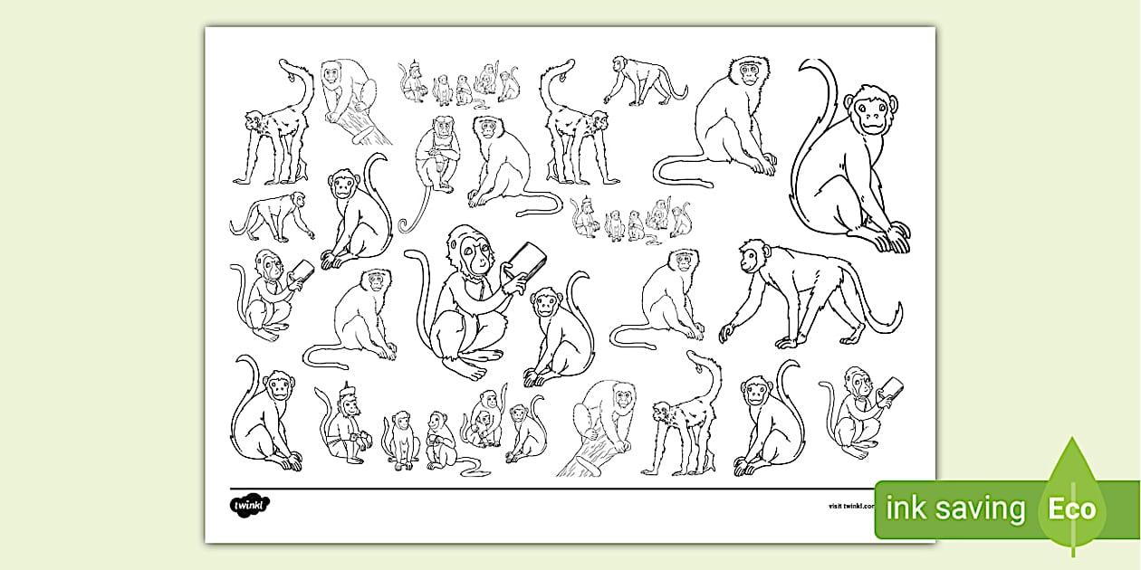 Monkey Doodle Colouring Page (teacher made) - Twinkl