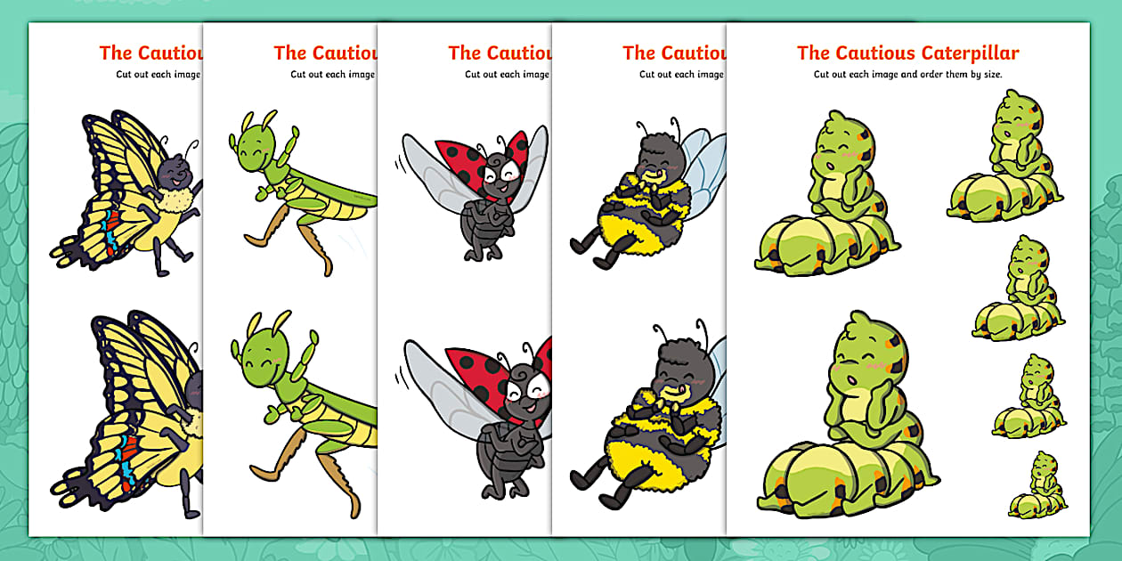 The Cautious Caterpillar: Minibeast Size Ordering - Twinkl