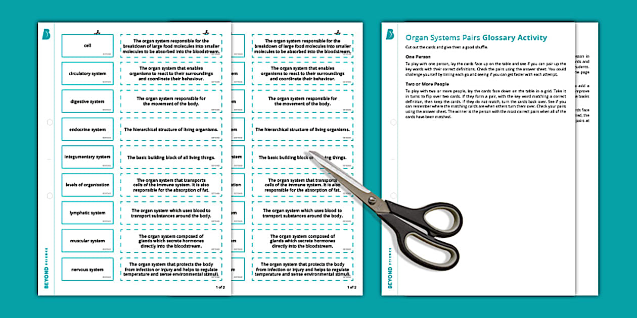 Organ Systems Pairs Activity Beyond Science (teacher made)