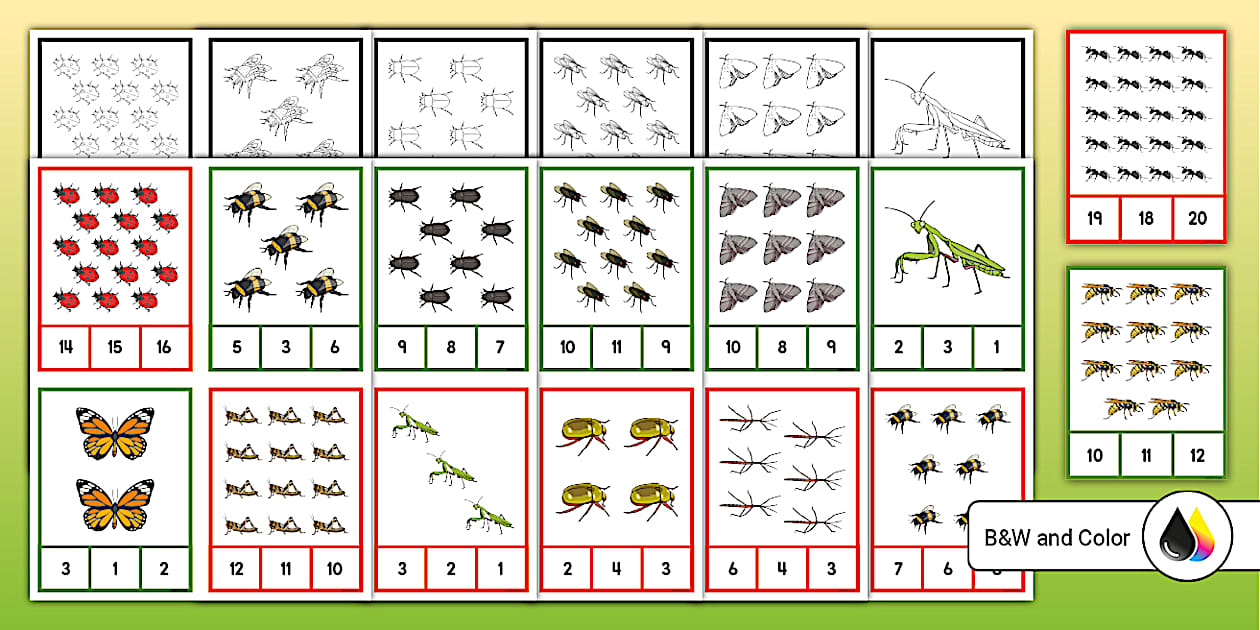 Insects and Bugs Counting to 20 Clip Cards (teacher made)