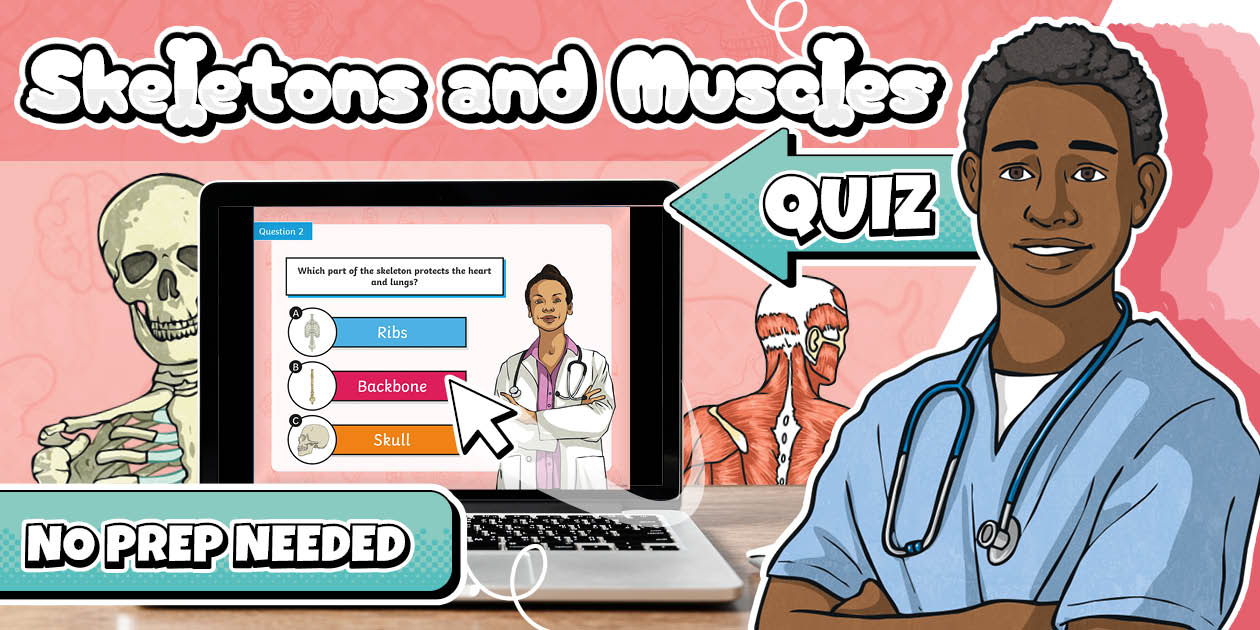 Skeletons and Muscles Quiz PowerPoint: KS2 Science