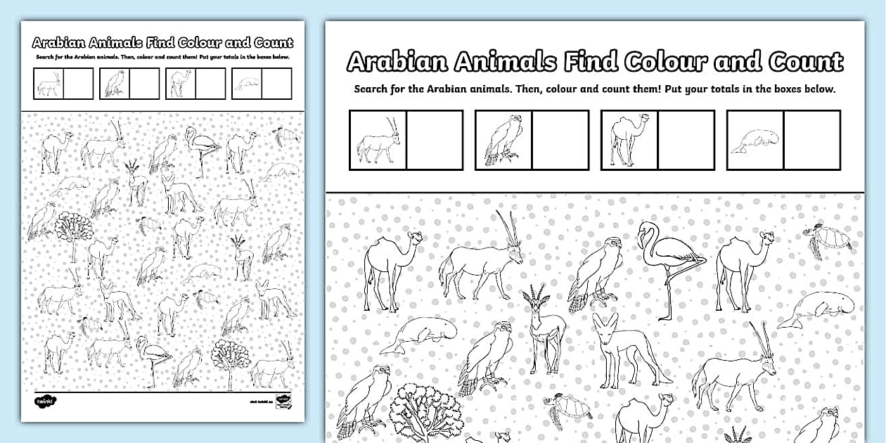 Arabian Animals Find Colour and Count