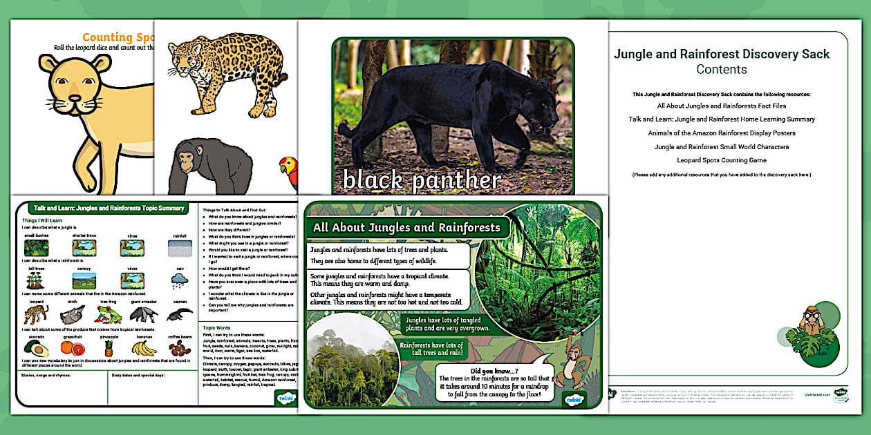 Jungle and Rainforest Discovery Sack | Twinkl - Twinkl