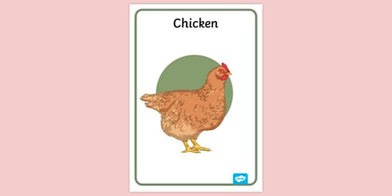 Chicken Poster For KS2 | Primary Resources (teacher made)