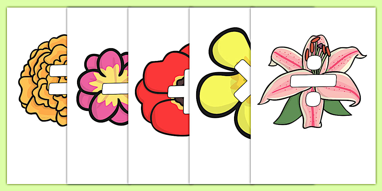 Maths Symbols on Flowers (teacher made) - Twinkl