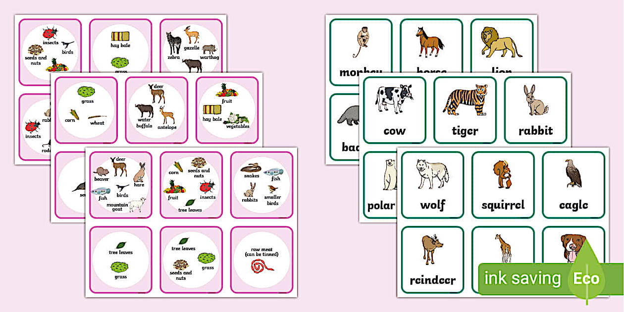 Editable Animals and their Diets Matching Activity - Twinkl