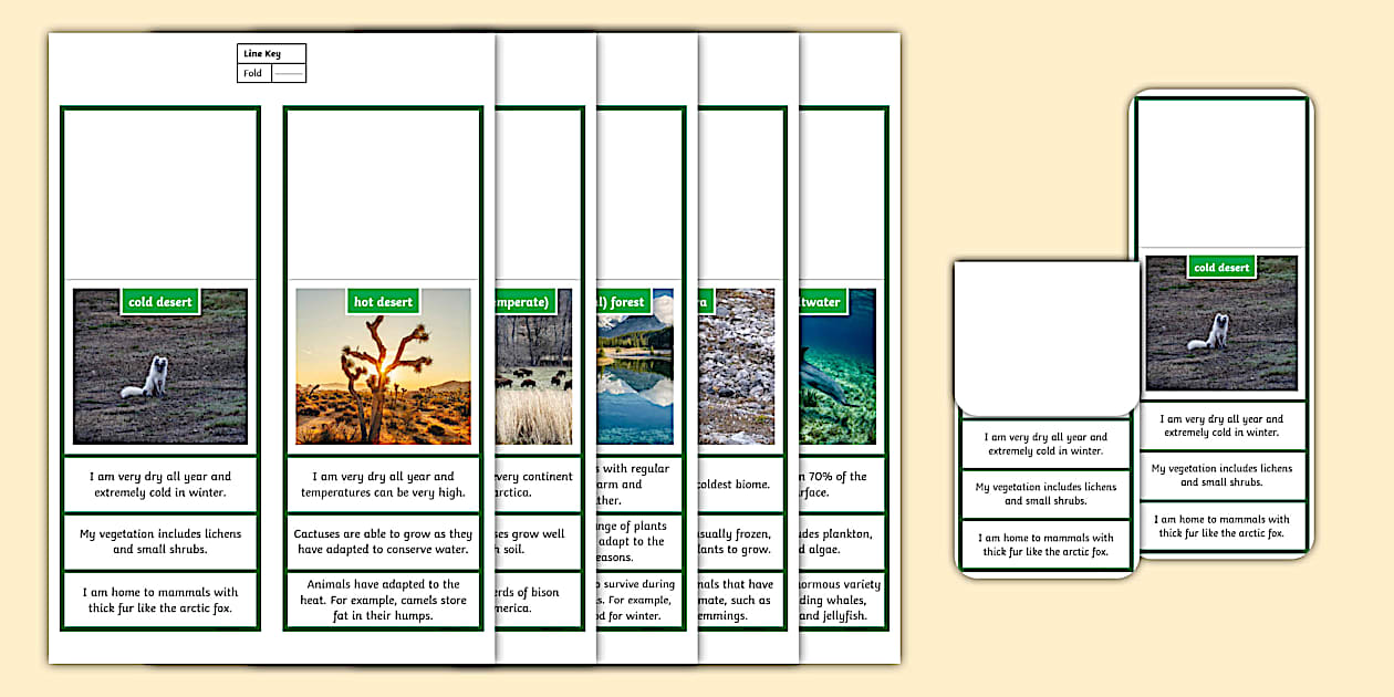 What Am I? Guess the Biome Game (Teacher-Made) - Twinkl