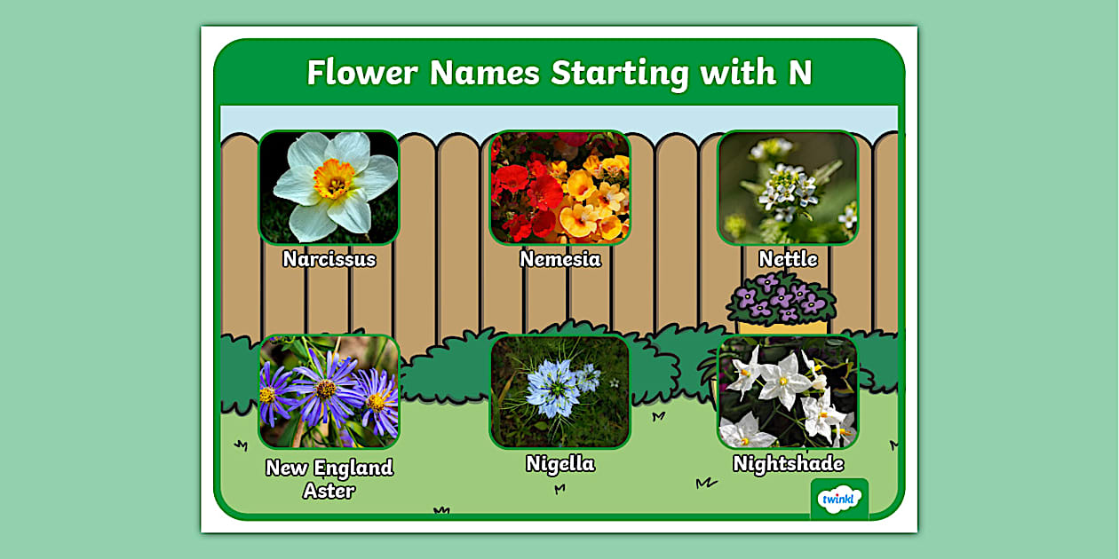Flower Names Starting with N Display Poster (teacher made)