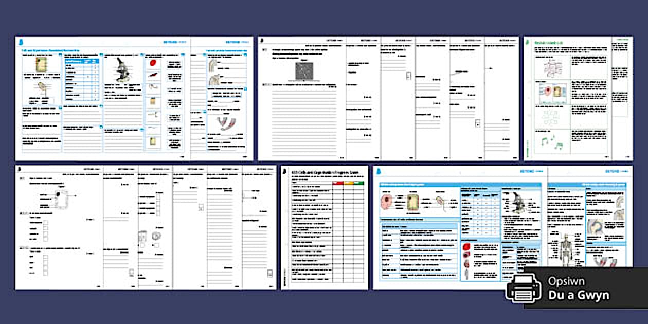 Cells and Movement Across Cell Membrane Revision Pack