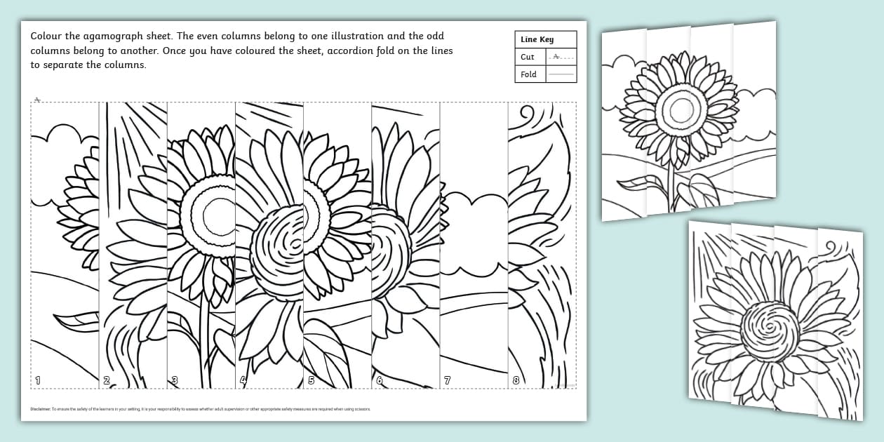 Sunflower Agamograph - Twinkl Colouring Page