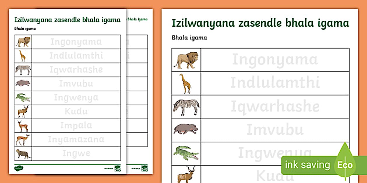 Word Tracing Worksheet | isiXhosa I Wild Animals - Twinkl
