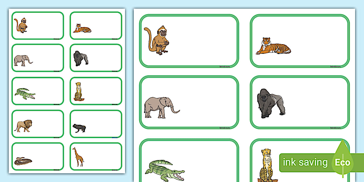 👉 Editable Rumble in the Jungle Signs and Labels - Twinkl