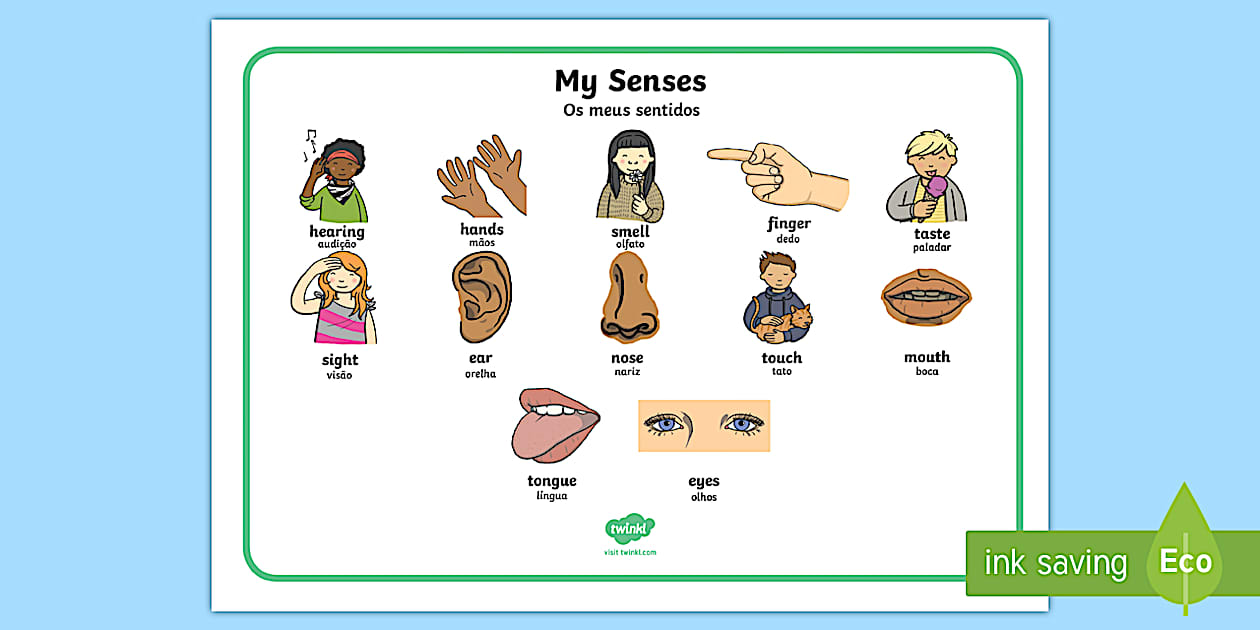 KS1 My Senses Body Parts Word Mat English/Portuguese - My Senses KS1 Body