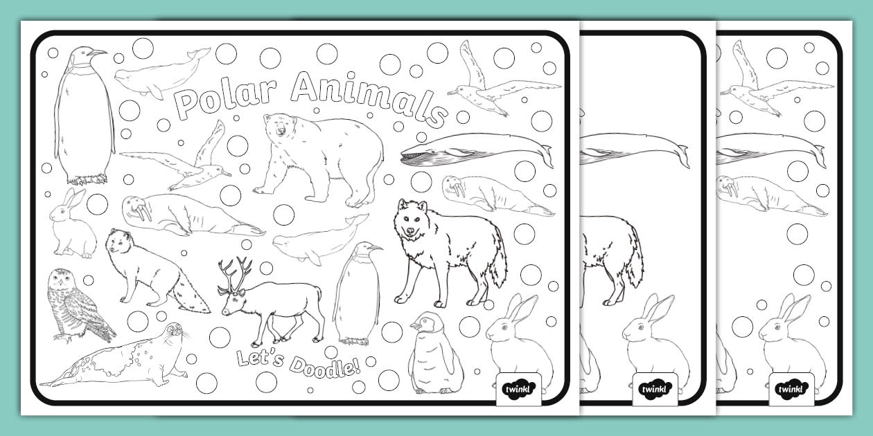 Polar Animals Doodle Colouring Pages - KS1 - Twinkl