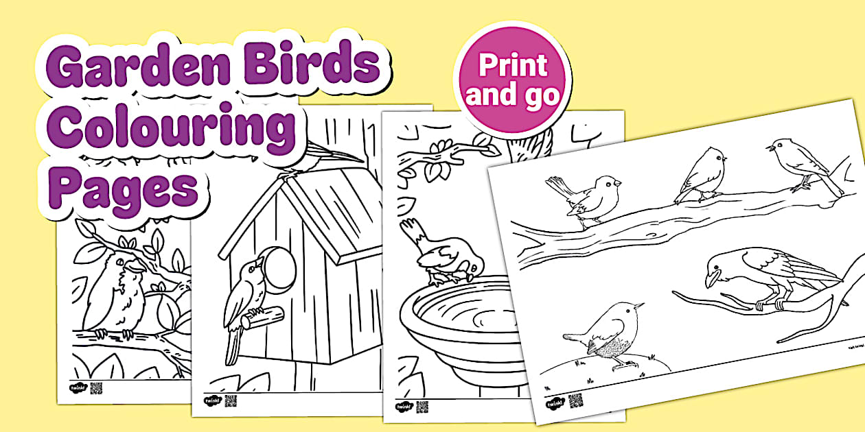 Garden Birds Colouring Pages - Twinkl Canada