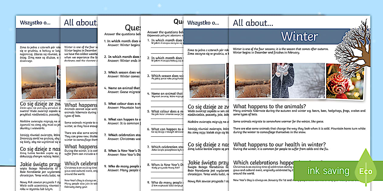 Winter Differentiated Reading Comprehension Activity English/Polish ...
