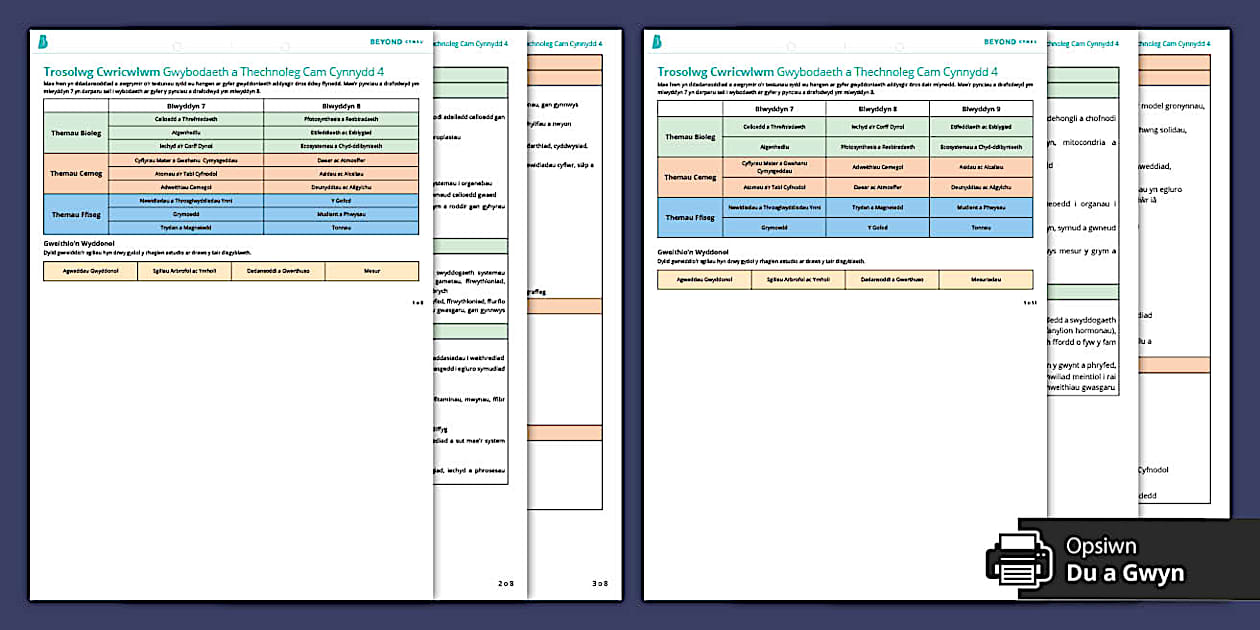 Trosolwg Cwricwlwm Gwyddoniaeth CC4 (teacher made) - Twinkl