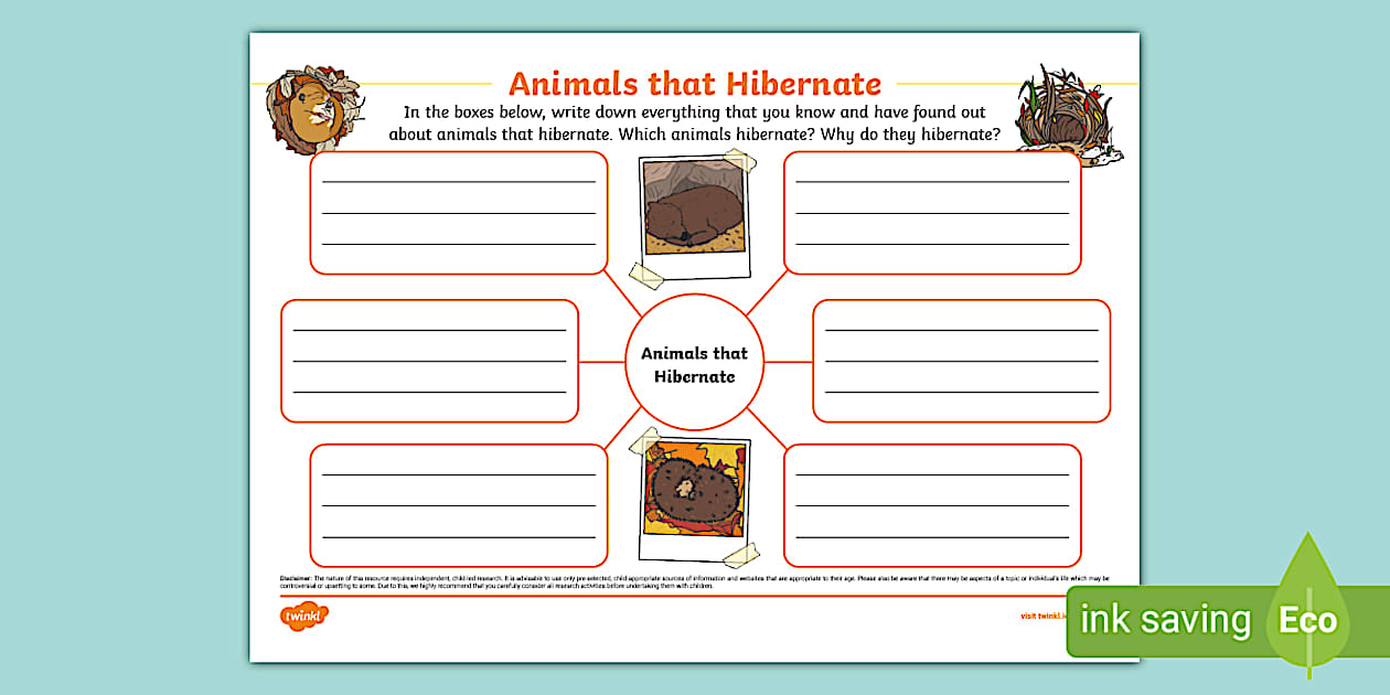 Hibernating Animals Mind Map (teacher made) - Twinkl