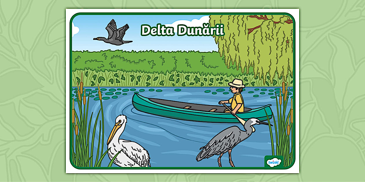 Delta Dunării – Planșă (teacher made) - Twinkl