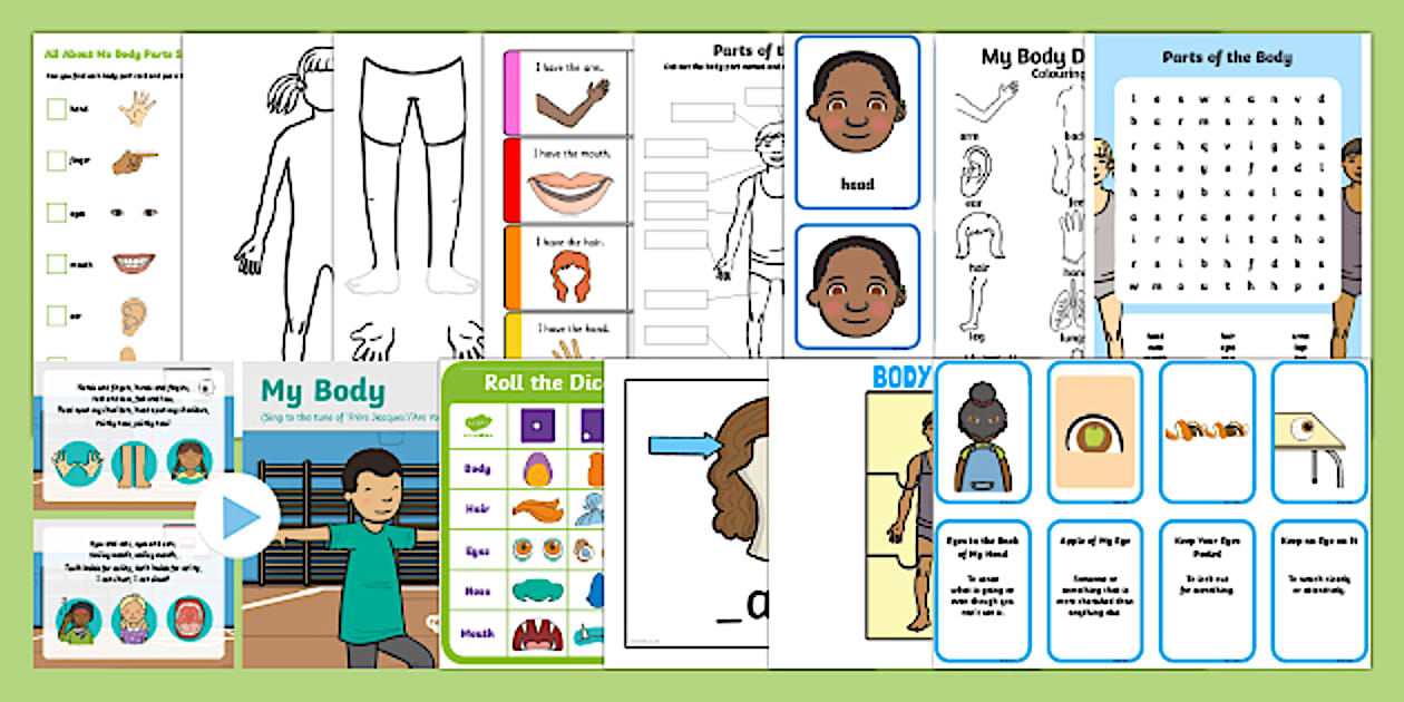 Body Parts ESL Lesson Plan Resource Pack | Twinkl - Twinkl
