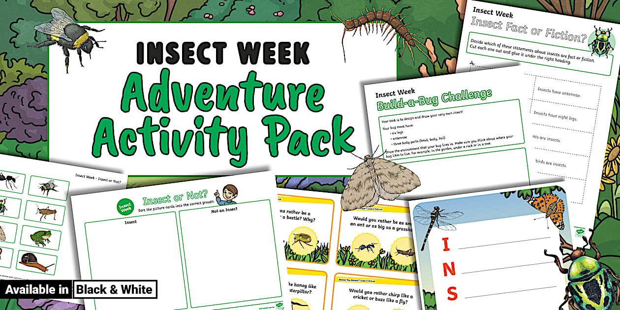 Twinkl Australia F-2 Insect Week Adventure Pack