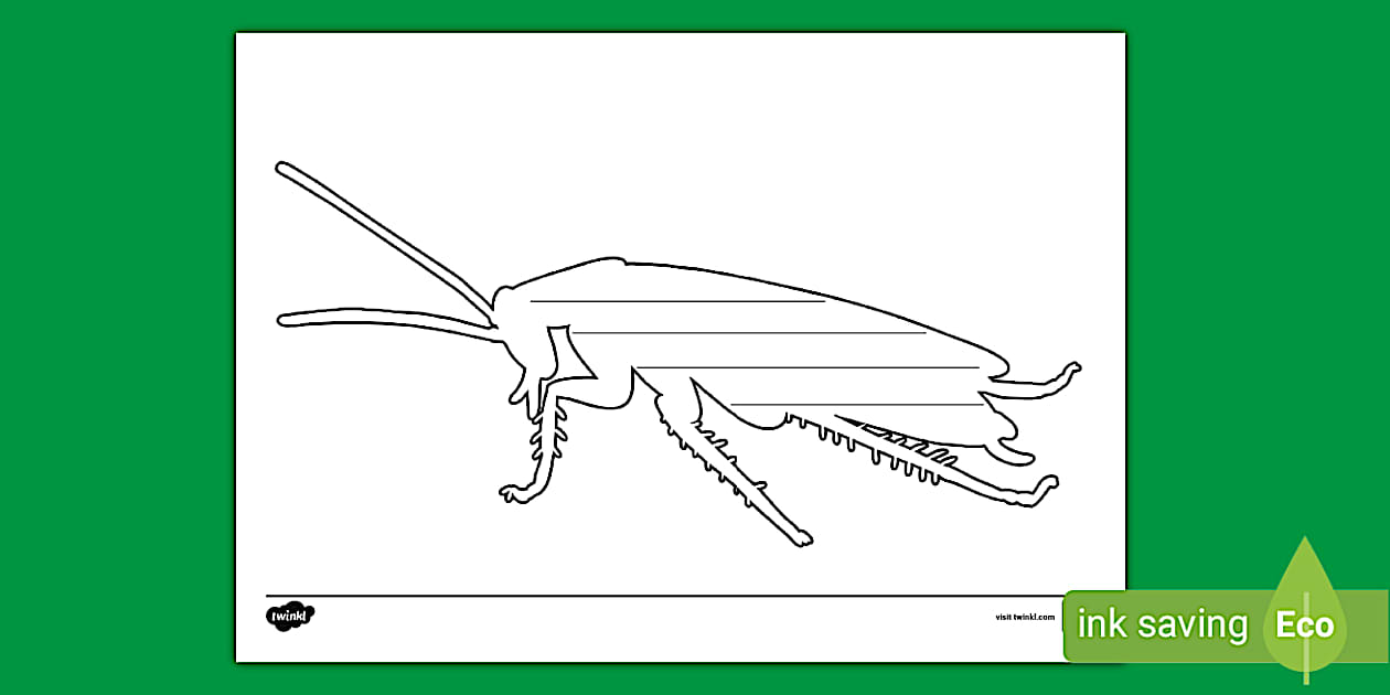 Cockroach Writing Template (Teacher-Made) - Twinkl