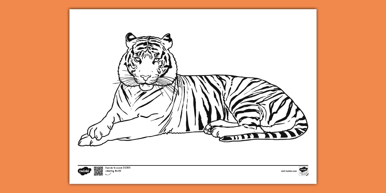 Tiger Colouring Page | Colouring Sheets (teacher made)