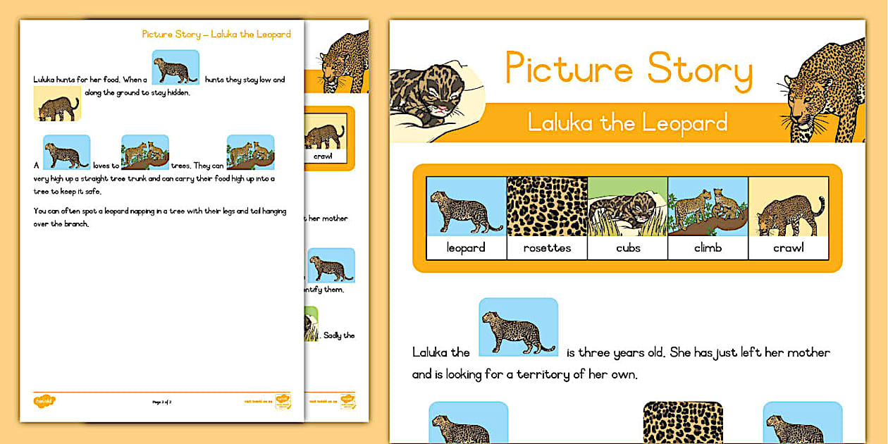 Laluka the Leopard Picture Story | Twinkl South Africa