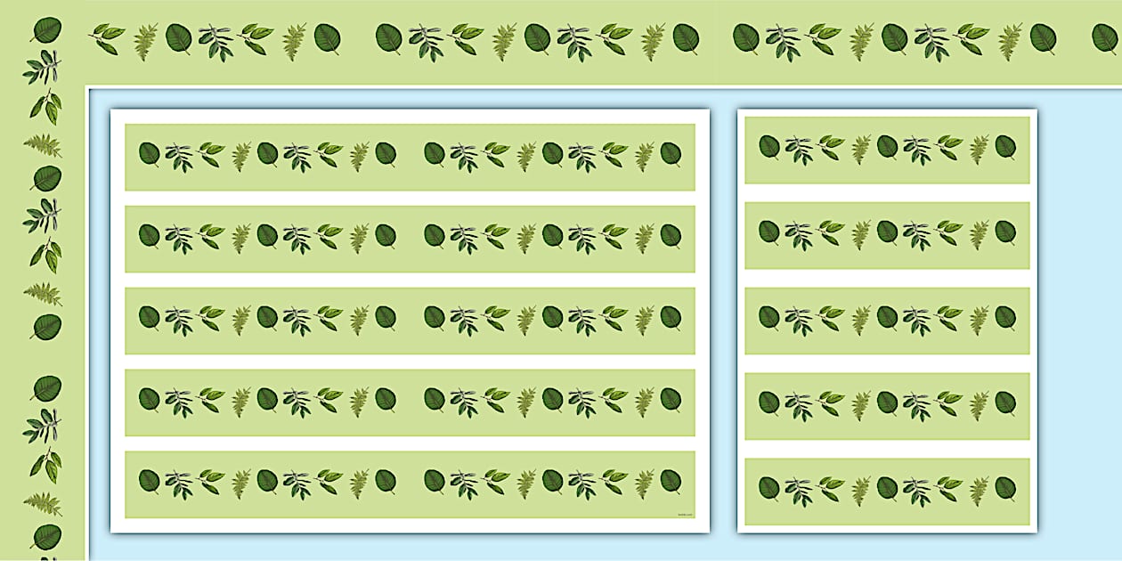 NZ Native Botanical Printable Wall Display Borders