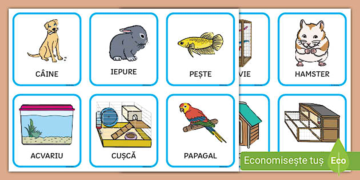 Animale de companie – Cartonașe pereche (Teacher-Made)
