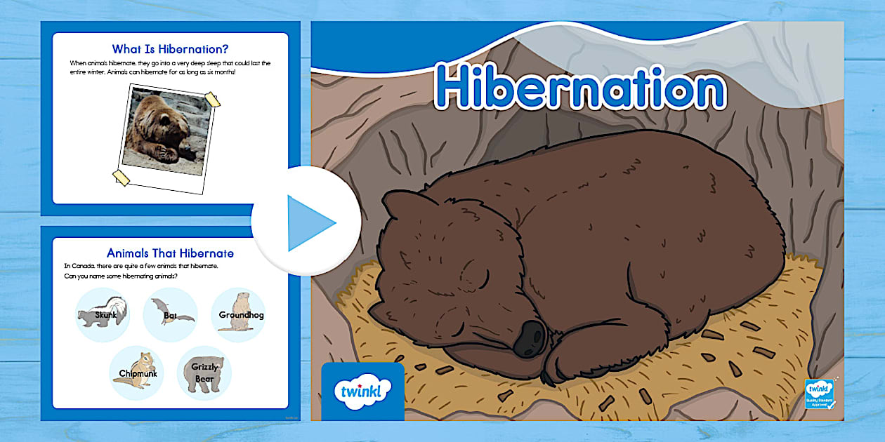 Hibernation PowerPoint (teacher made) - Twinkl
