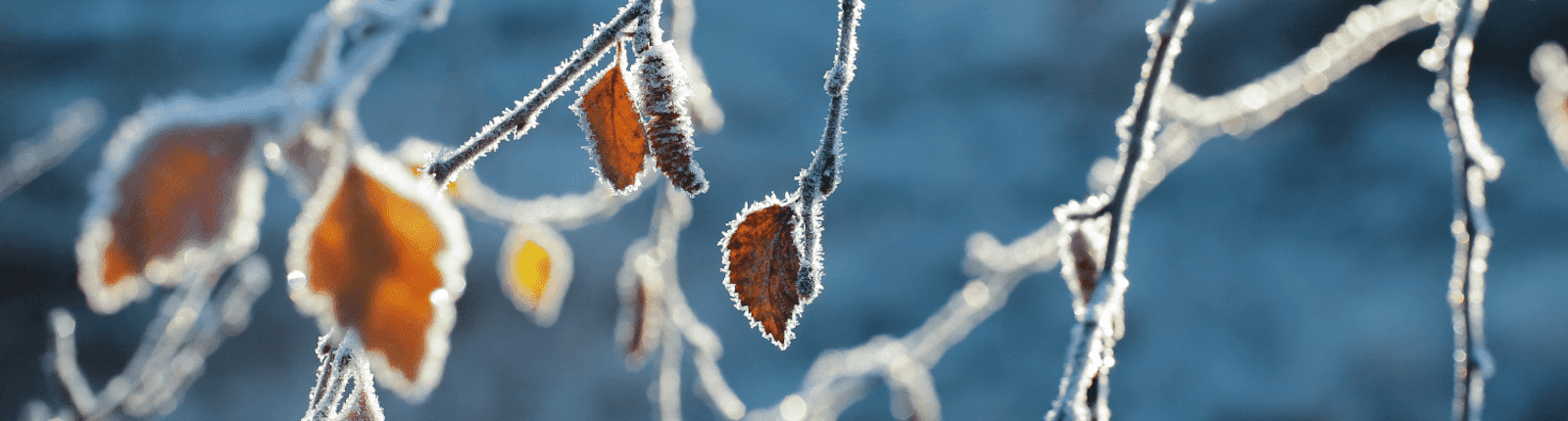 Winter term challenges: The best ways to tackle pupil behaviour and ...