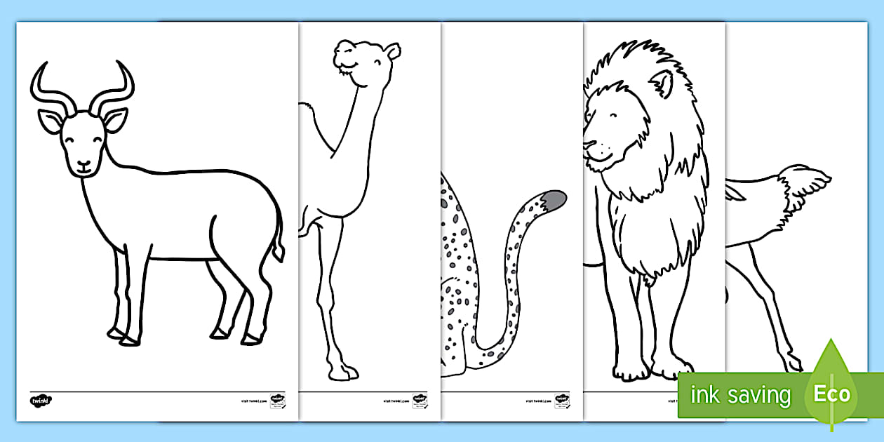 Editable Zoo Animal Outlines Colouring Sheets (teacher made)