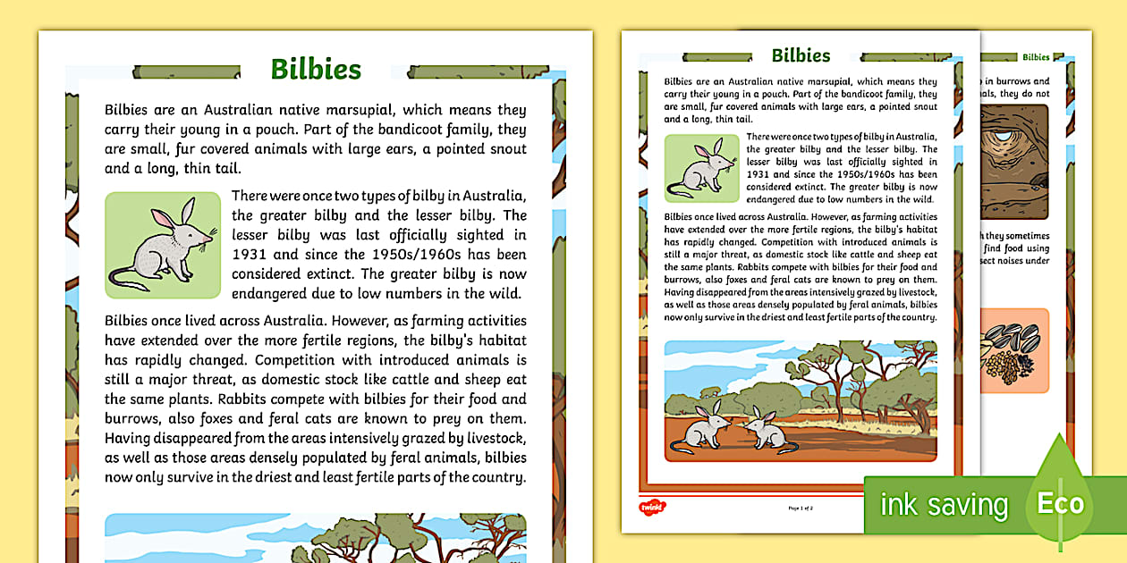 QLD Bilbies Fact Sheet (teacher made) - Twinkl
