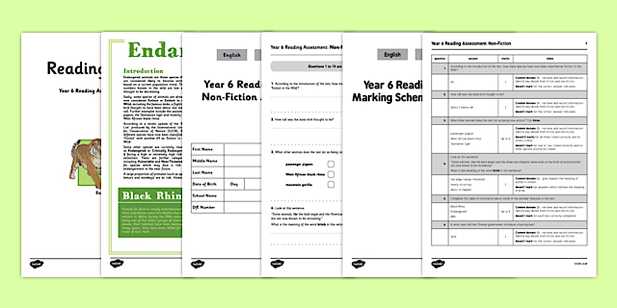 Year 6 Term 2 Non-Fiction Reading Assessment (teacher made)