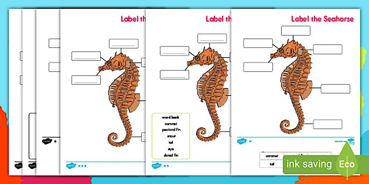 Printable Label a Seahorse Worksheet | Twinkl USA - Twinkl